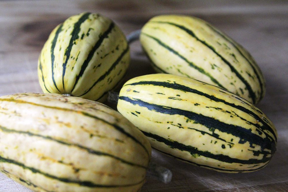 How to Prepare Delicata Squash | Roasted Delicata Squash