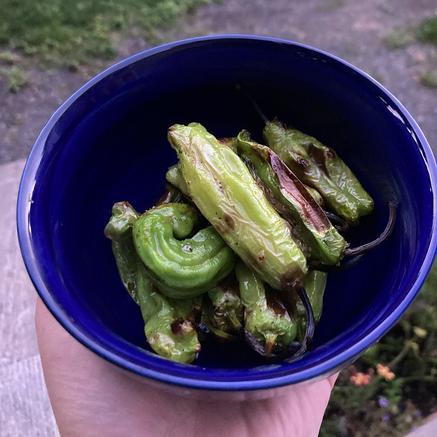 Grilled Shishito Peppers | Sarah's Cucina Bella